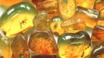 Amber Meanings, Properties and Uses - CrystalStones.com