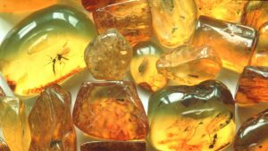 Amber Meanings, Properties and Uses - CrystalStones.com