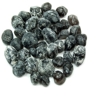 Petoskey Stone Meanings, Properties and Uses - CrystalStones.com