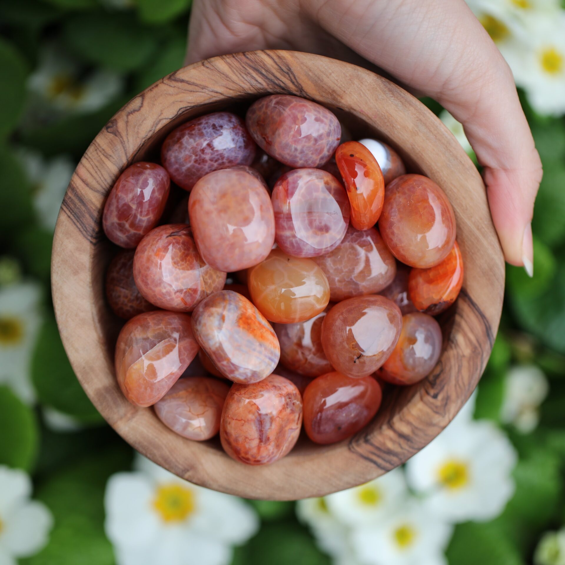 Alexandrite Meanings, Properties and Uses - CrystalStones.com