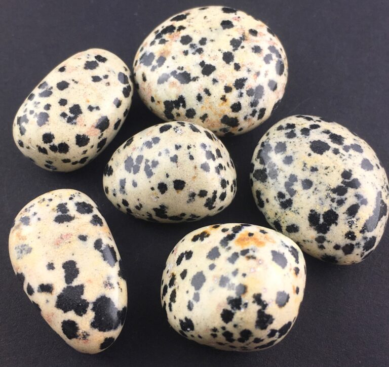 Dalmatian Jasper Meanings, Properties and Uses - CrystalStones.com