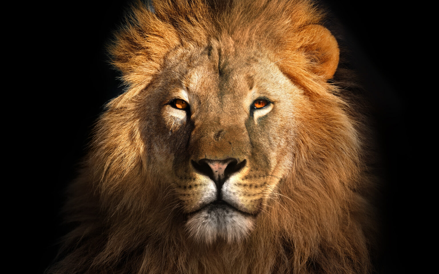 Leo Birthstone List, Color and Meanings - CrystalStones.com