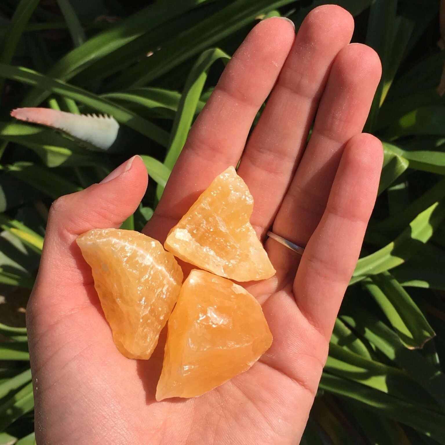 Sacral Chakra Crystal Stones List, Meanings and Uses - CrystalStones.com