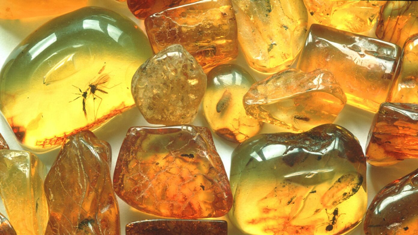 24 Powerful Crystals For Patience – The “How To” Guide - CrystalStones.com